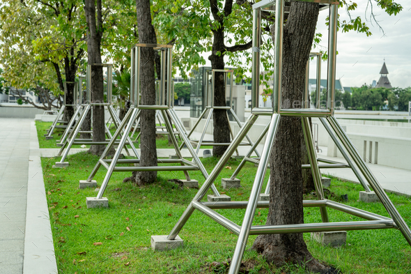 Stainless steel tree support enhances tree stability in outdoor ...