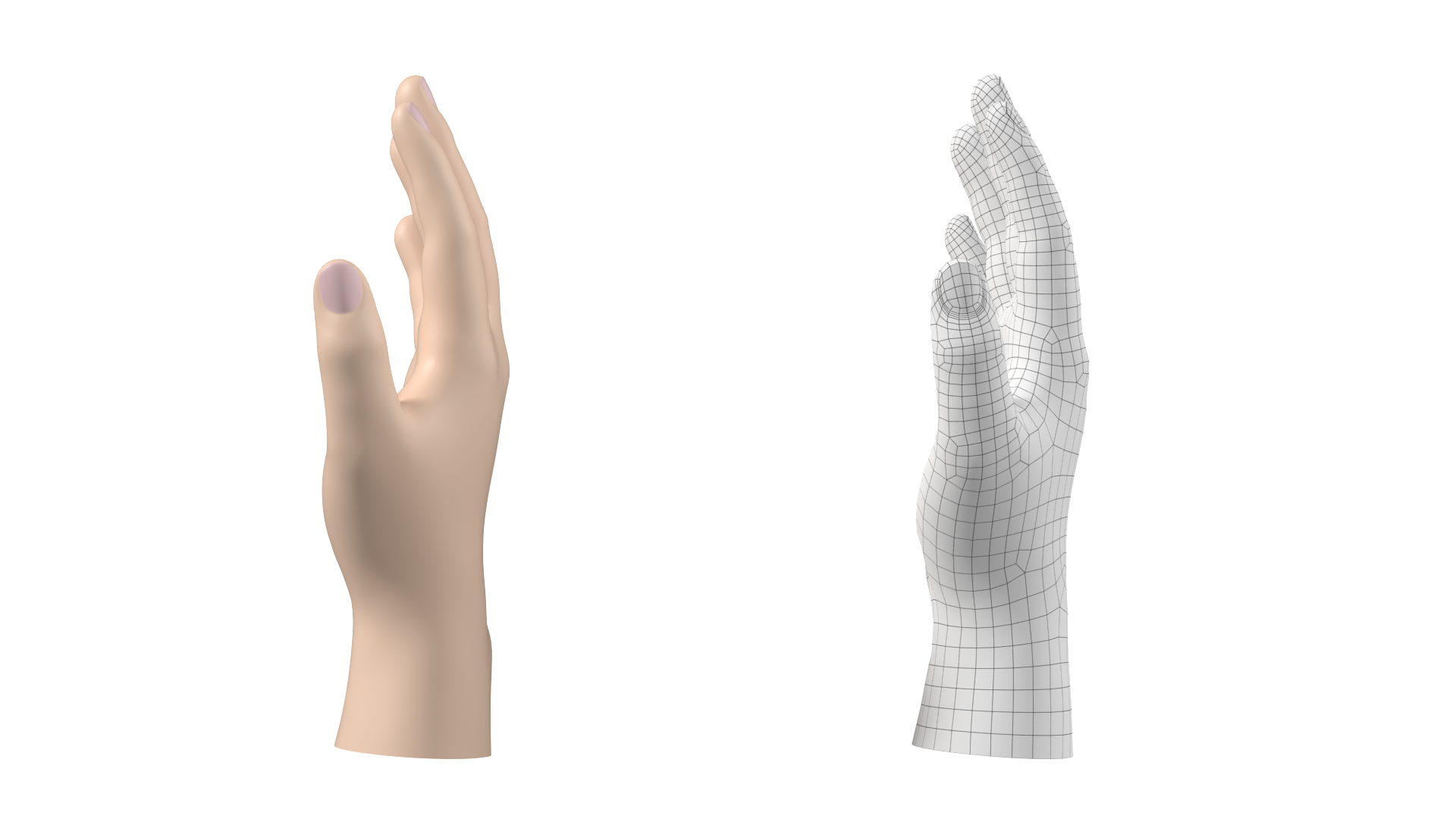 3d Hand Mesh