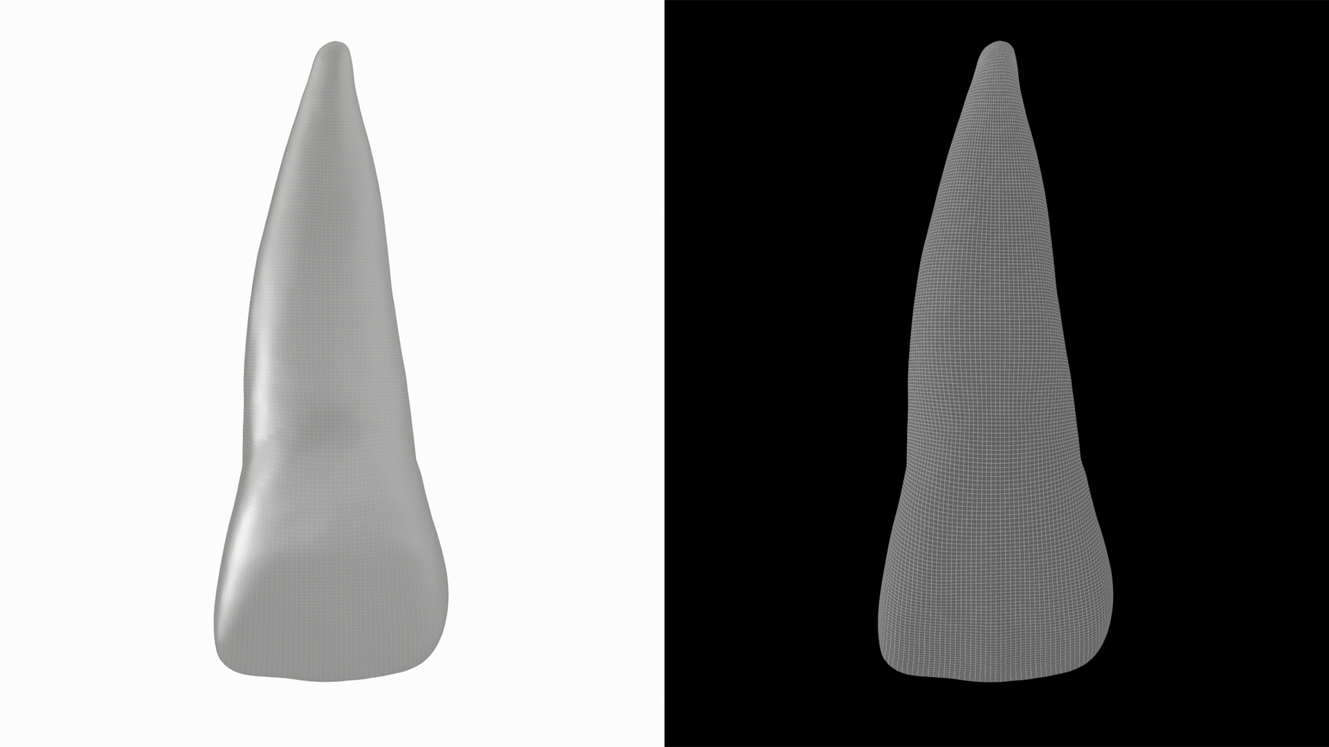 Human Upper Left Central Incisor Tooth by valeriik | 3DOcean