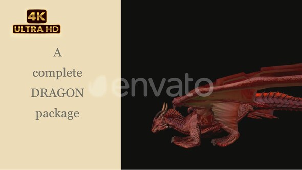 Complete Dragon Package : Red Dragon, Motion Graphics | VideoHive