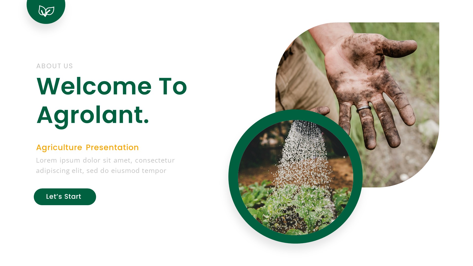 Agrolant – Agriculture Google Slides Template, Presentation Templates