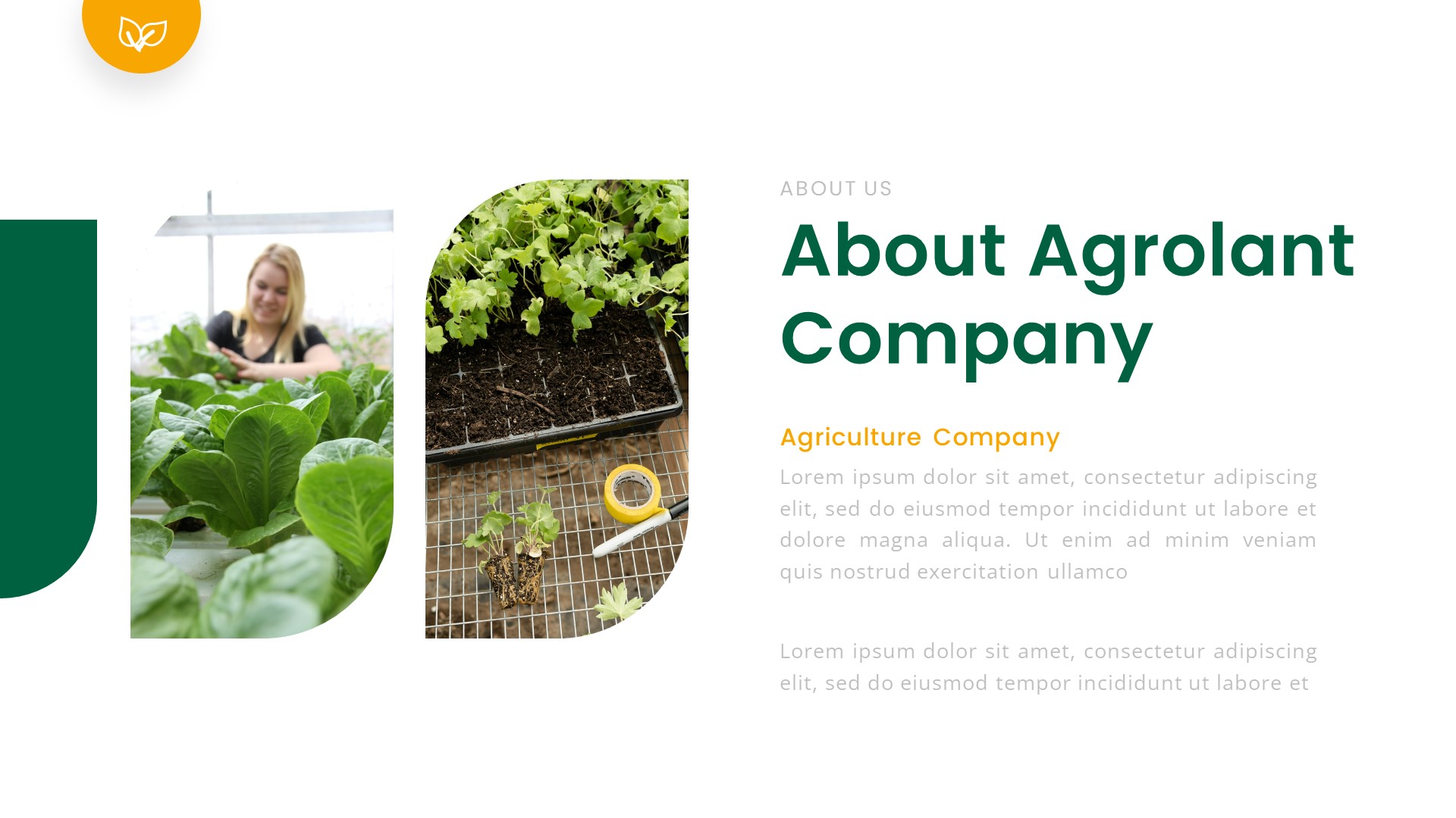 Agrolant – Agriculture Google Slides Template, Presentation Templates