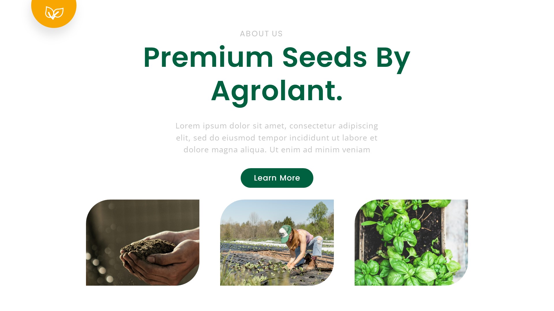 Agrolant – Agriculture Google Slides Template, Presentation Templates