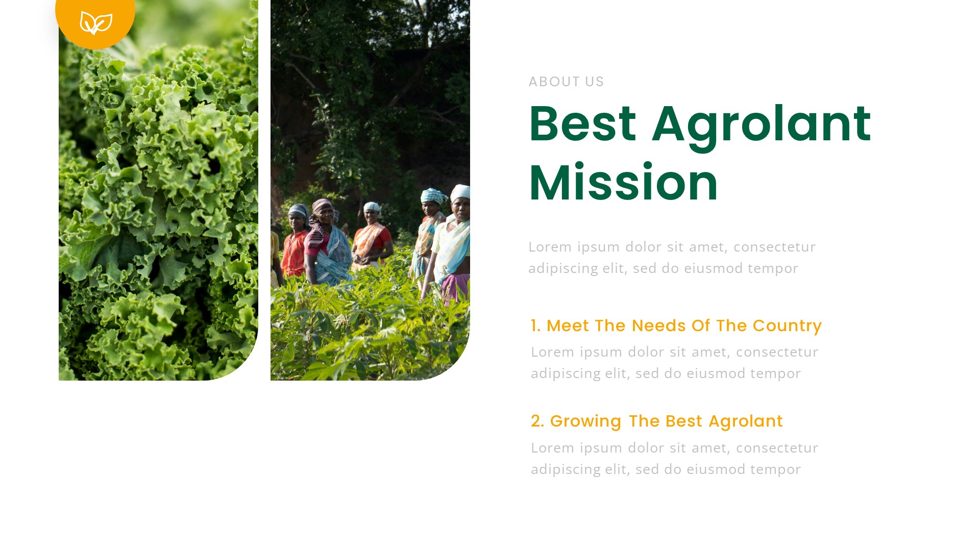 Agrolant – Agriculture Google Slides Template, Presentation Templates