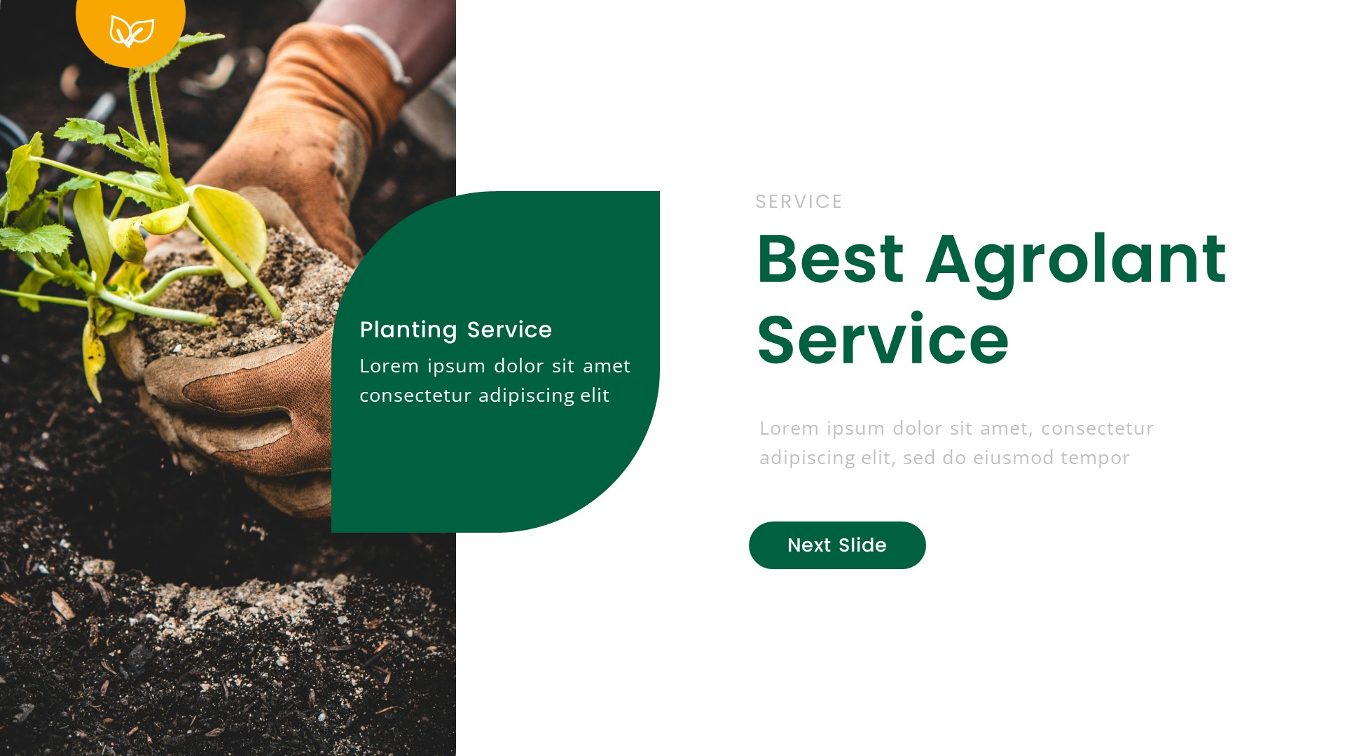 Agrolant – Agriculture Google Slides Template, Presentation Templates