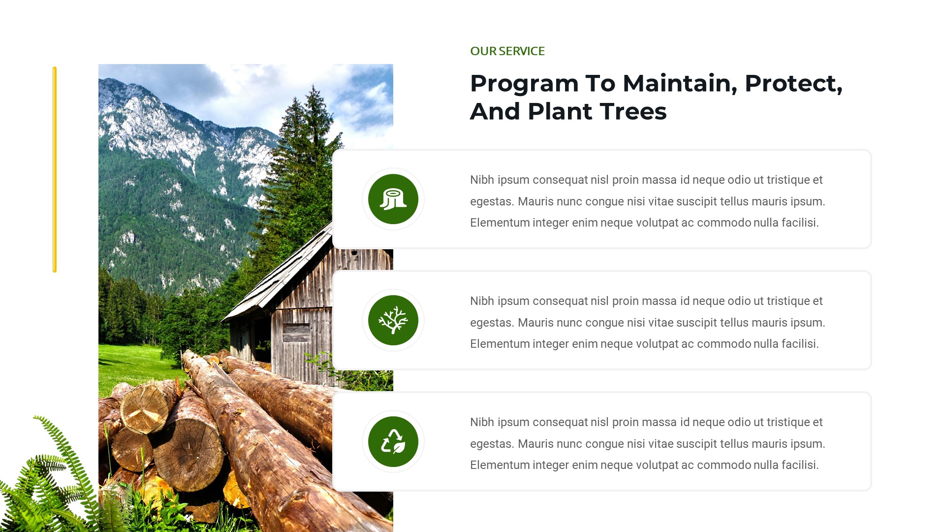 Greenflora - Forest Conservation Google Slides Template, Presentation ...