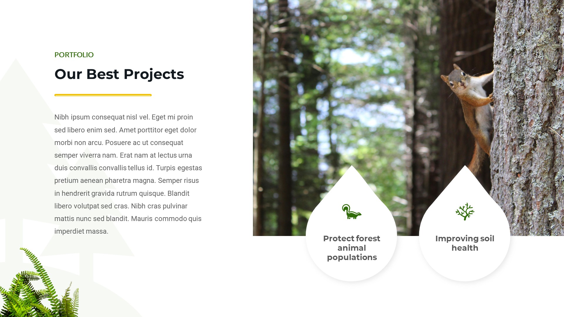 Greenflora - Forest Conservation Google Slides Template, Presentation ...