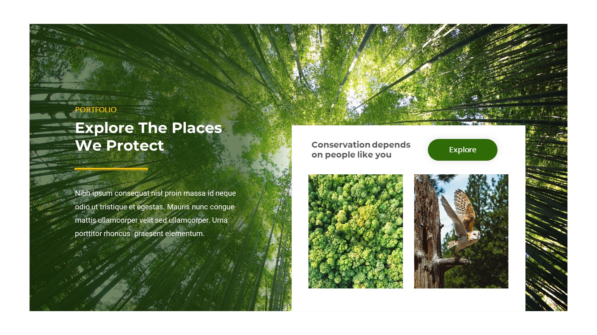 Greenflora - Forest Conservation Google Slides Template, Presentation ...