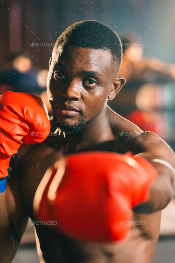 Muscular african american male boxer wearing boxing gloves, Sports ...