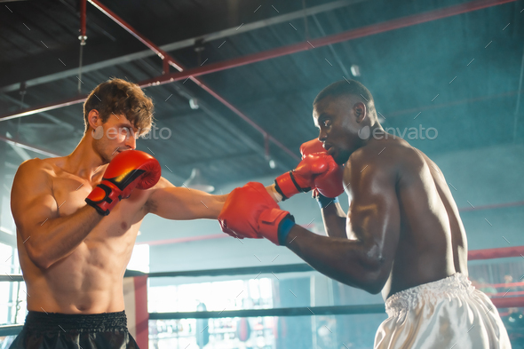 Gym atmosphere, Two professional fighters posing sport boxing ring ...