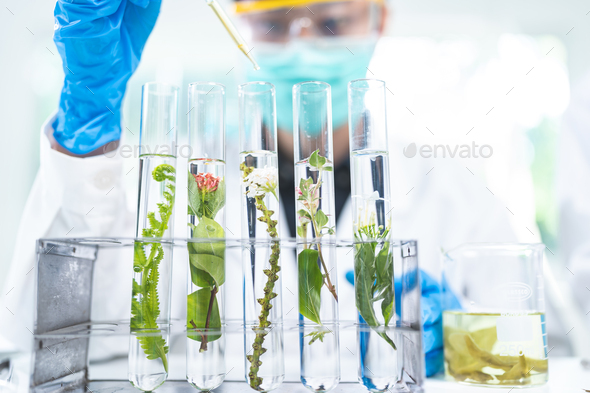 medicine experiment chemical biology study in science laboratory ...