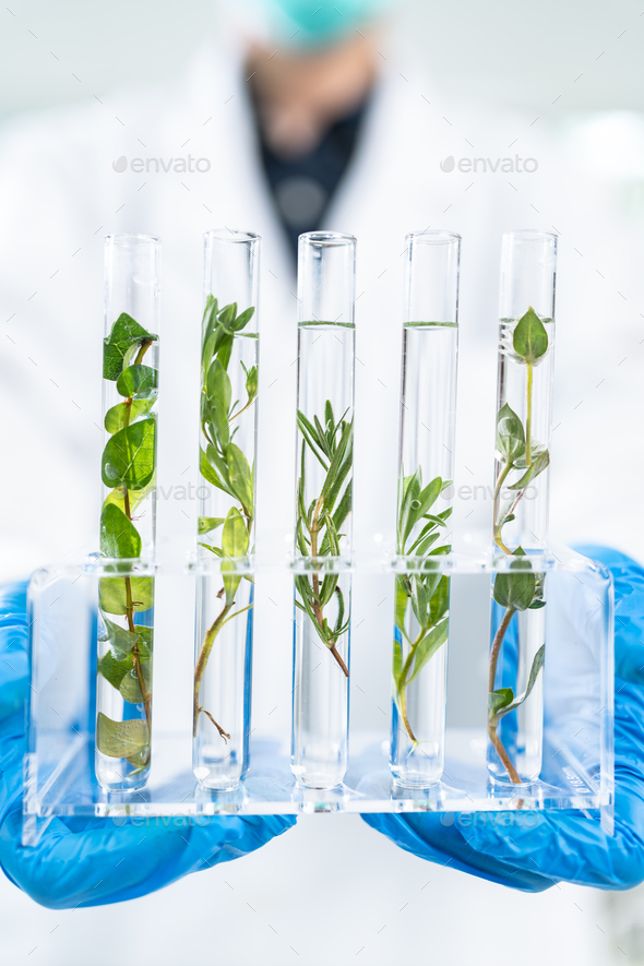 medicine experiment chemical biology study in science laboratory ...