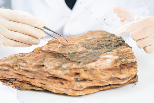 Geology science laboratory research sample test analysis of nature ...