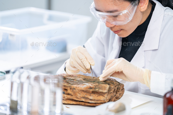 Geology science laboratory research sample test analysis of nature ...