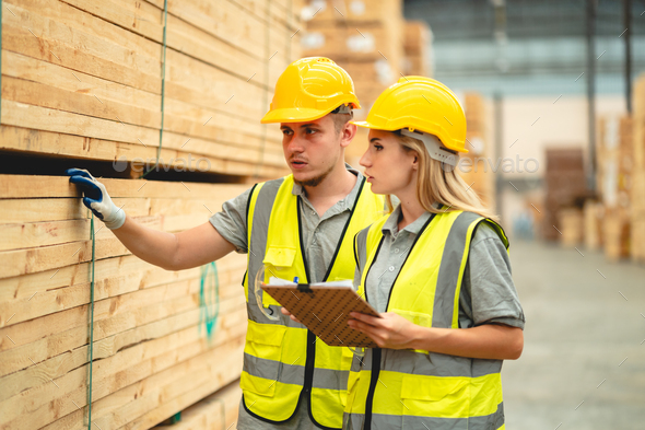 Engineer carpenter worker team checking and inspecting hardwood, timber ...