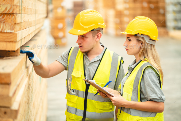 Engineer carpenter worker team checking and inspecting hardwood, timber ...