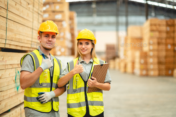 Engineer carpenter worker team checking and inspecting hardwood, timber ...