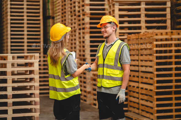 Engineer carpenter worker team checking and inspecting hardwood, timber ...