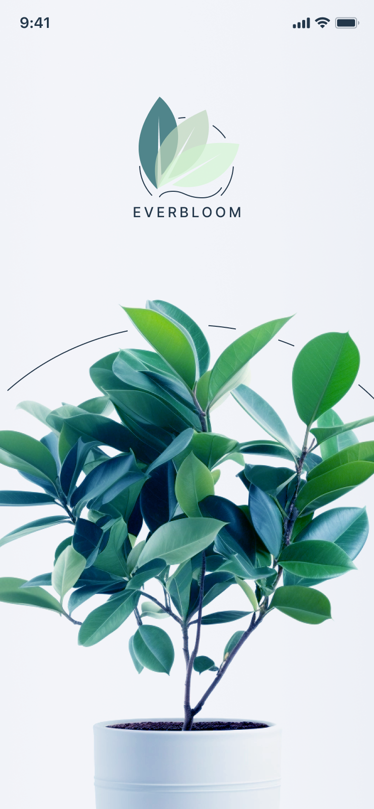 Everbloom - Plant Online Store App Sketch UI Template by George_Fx