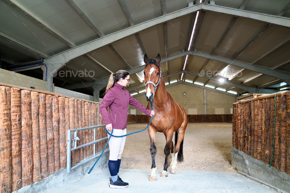 Indoor Horse Training Facility with Rider Stock Photo by luismanuelm