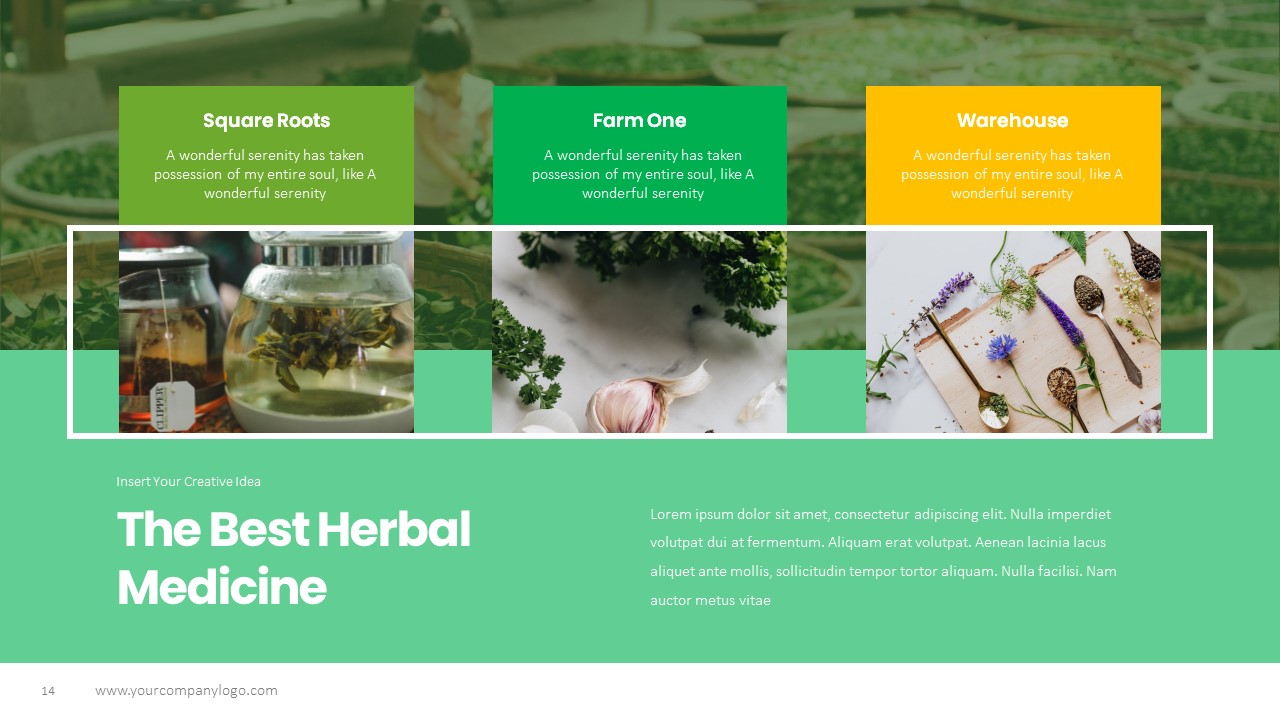 Herbal PowerPoint Presentation, Presentation Templates | GraphicRiver