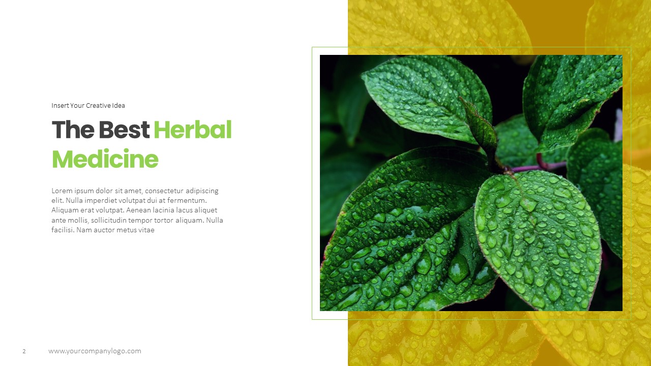 Herbal PowerPoint Presentation, Presentation Templates | GraphicRiver