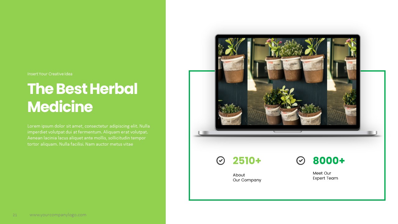 Herbal PowerPoint Presentation, Presentation Templates | GraphicRiver