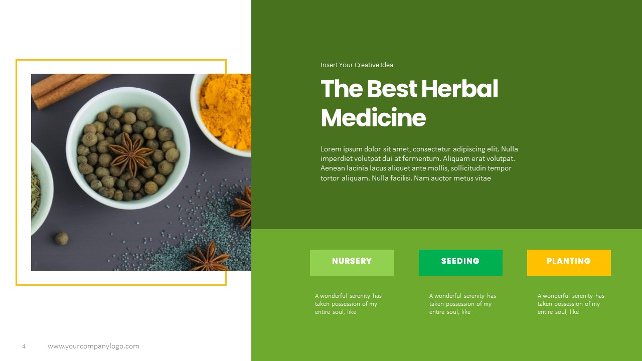 Herbal PowerPoint Presentation, Presentation Templates | GraphicRiver
