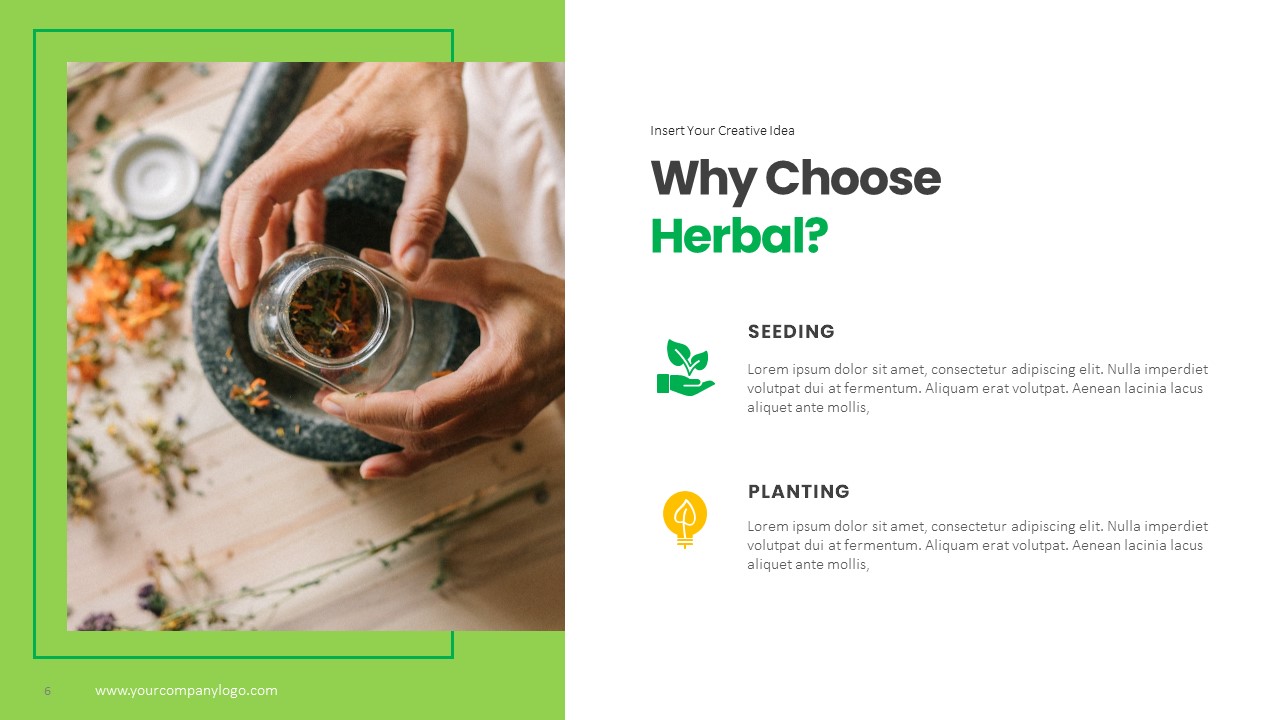 Herbal PowerPoint Presentation, Presentation Templates | GraphicRiver