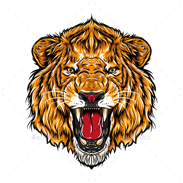 fierce lion head illustration, Vectors | GraphicRiver