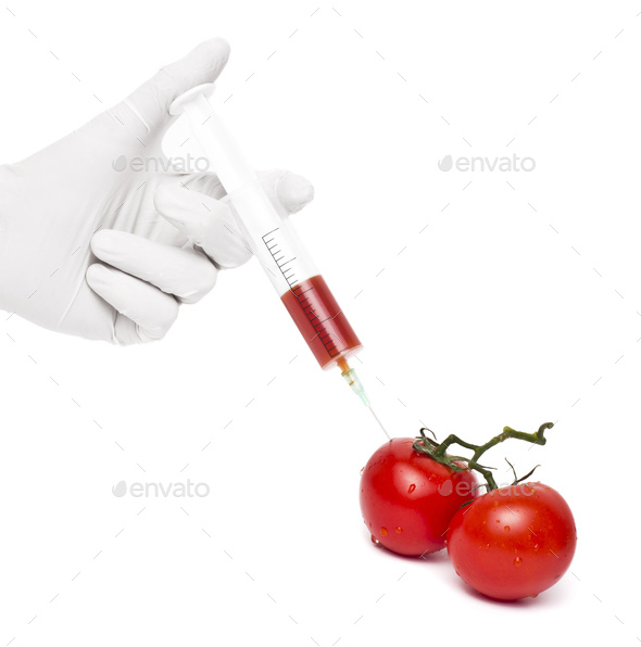 Gmo product concept: Tomato injection isolated Stock Photo by ozaiachin