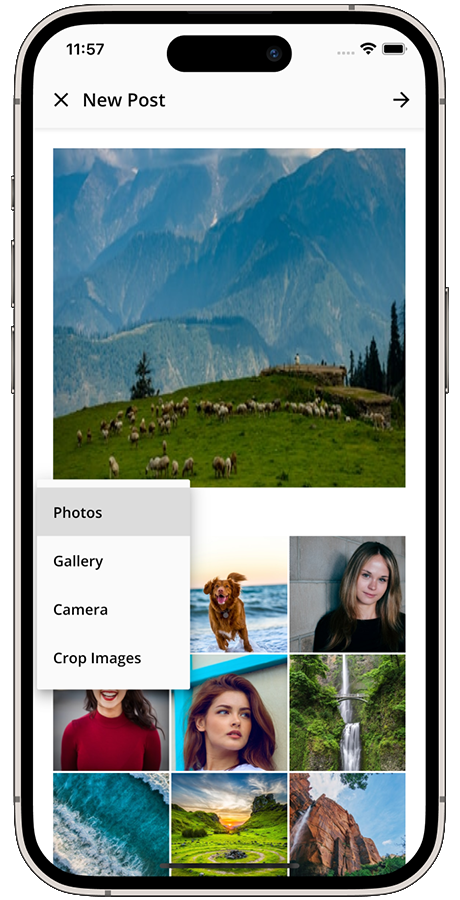 Instagram Clone App Template in Flutter | Social sharing App | Video ...