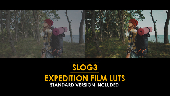 Slog3 Expedition FIlm and Standard Color LUTs, Apple Motion Templates