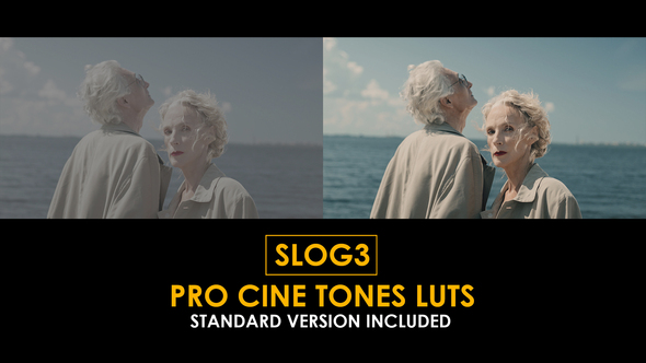 Slog3 Pro Cine Tones and Standard Color LUTs, Apple Motion Templates