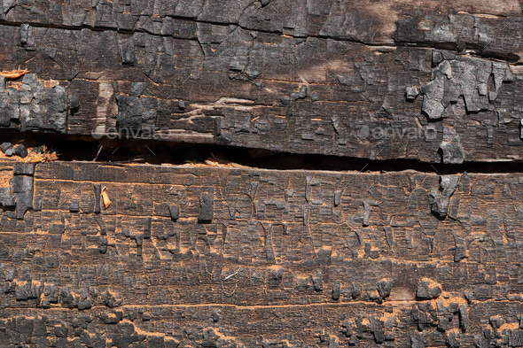 carbonized wood texture, closeup of photo Stock Photo by safakc1 ...
