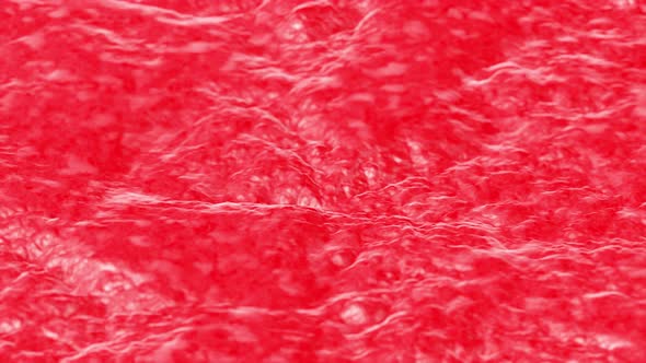 Abstract Waving Gross Red Granulation Tissue, Motion Graphics | VideoHive