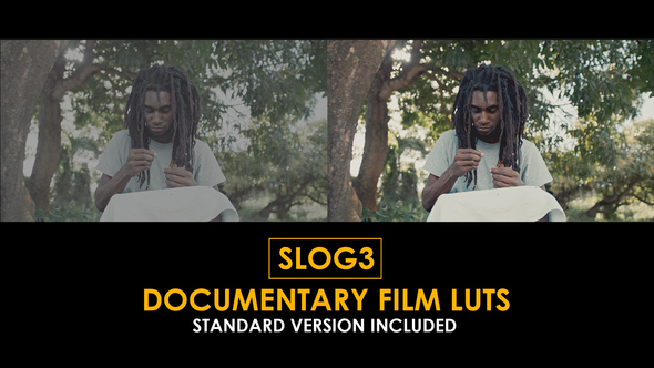 Slog3 Documentary Film and Standard Color LUTs, Apple Motion Templates