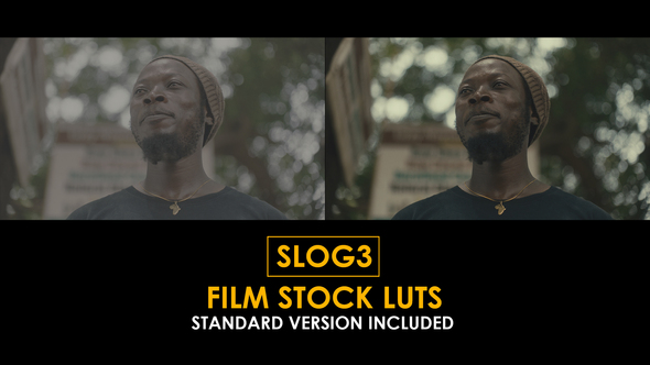 Slog3 Film Stock and Standard Color LUTs, Apple Motion Templates ...