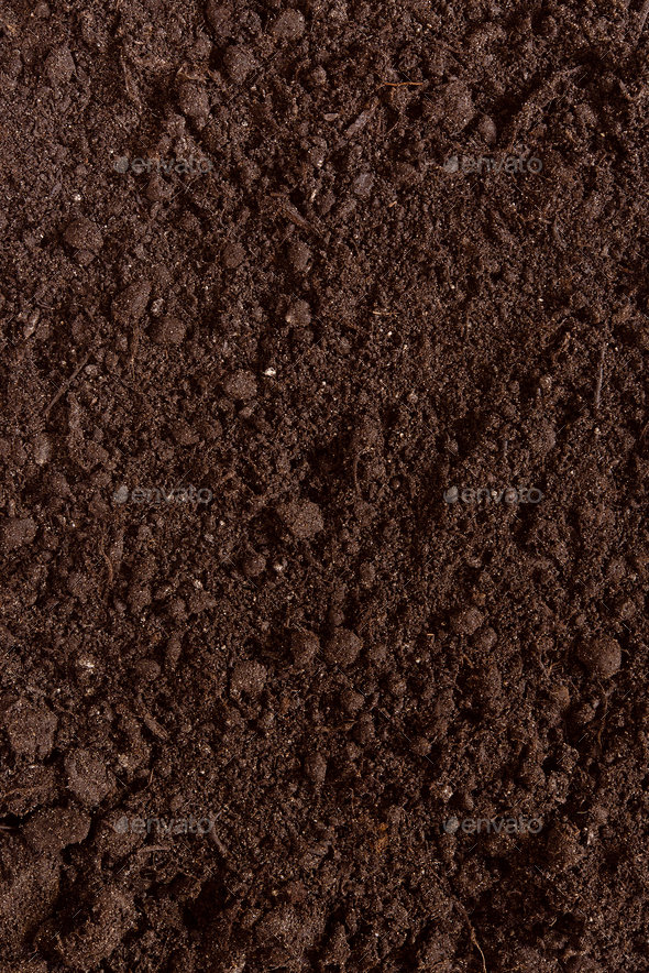 Texture of fresh fertile soil, vertical photo, top view. Gardening and ...