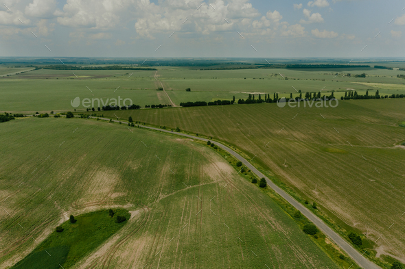 Aerial top view summer day aerial green nature Ukraine. Grass field ...