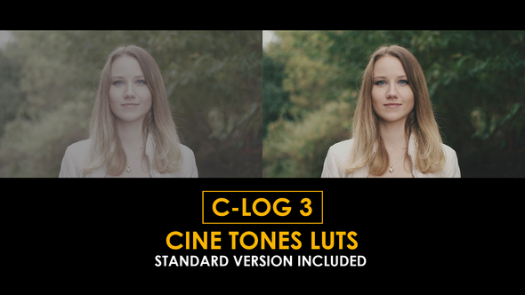 C-Log3 Cine Tones and Standard Color LUTs, Apple Motion Templates ...