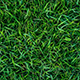 Grass tile Texture by VIPspawn | 3DOcean