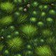 Hand painted grass tile texture by VIPspawn | 3DOcean