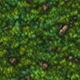 Hand painted grass tile texture by VIPspawn | 3DOcean