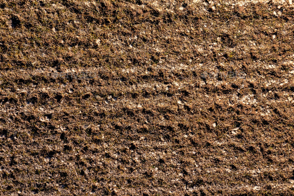Close-up of soil surface texture. Abstract background and texture for ...