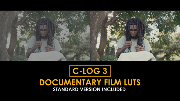 C-Log3 Documentary Film and Standard Color LUTs, Apple Motion Templates