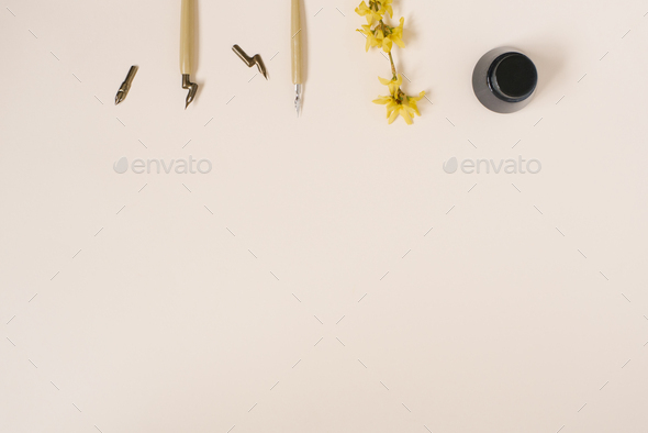 Calligraphy, Sharp Pen, Ink, Quills, Forsythia Flower on Beige ...
