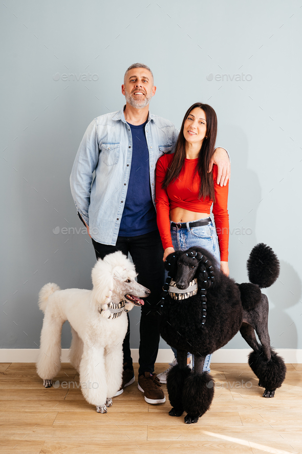 Smiling Couple Posing With Their Two Poodles In A Cozy Home Setting ...