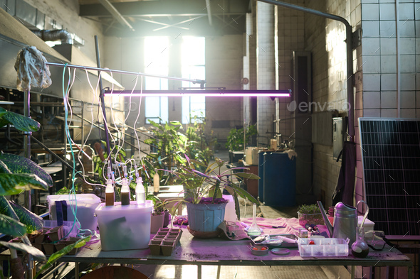 Post-apocalyptic Laboratory In Abandoned Building Stock Photo by AnnaStills