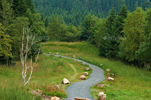 Explore the countryside Stock Photo by YuriArcursPeopleimages | PhotoDune